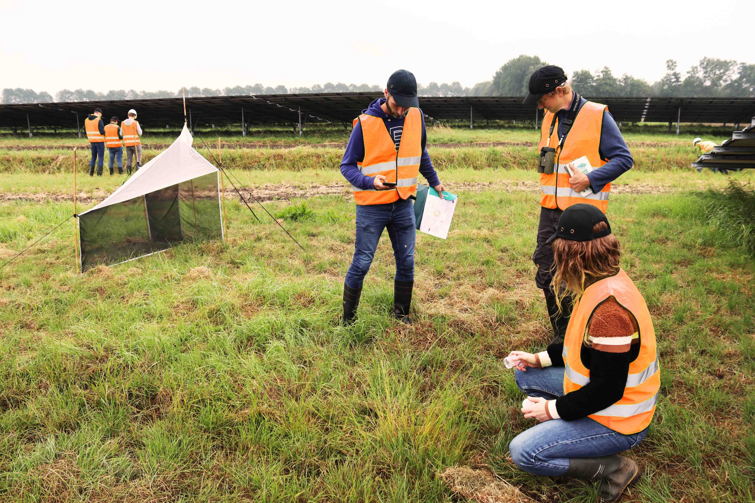 Teamdag Ground Mounted - Novar